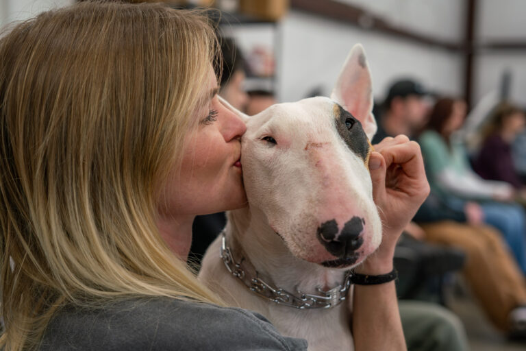 Home - Damn Good Dog Training